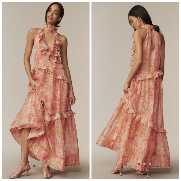 BHLDN | Dresses | Anthropologie Bhldn Landon Organza 3d Ruffle Maxi ...
